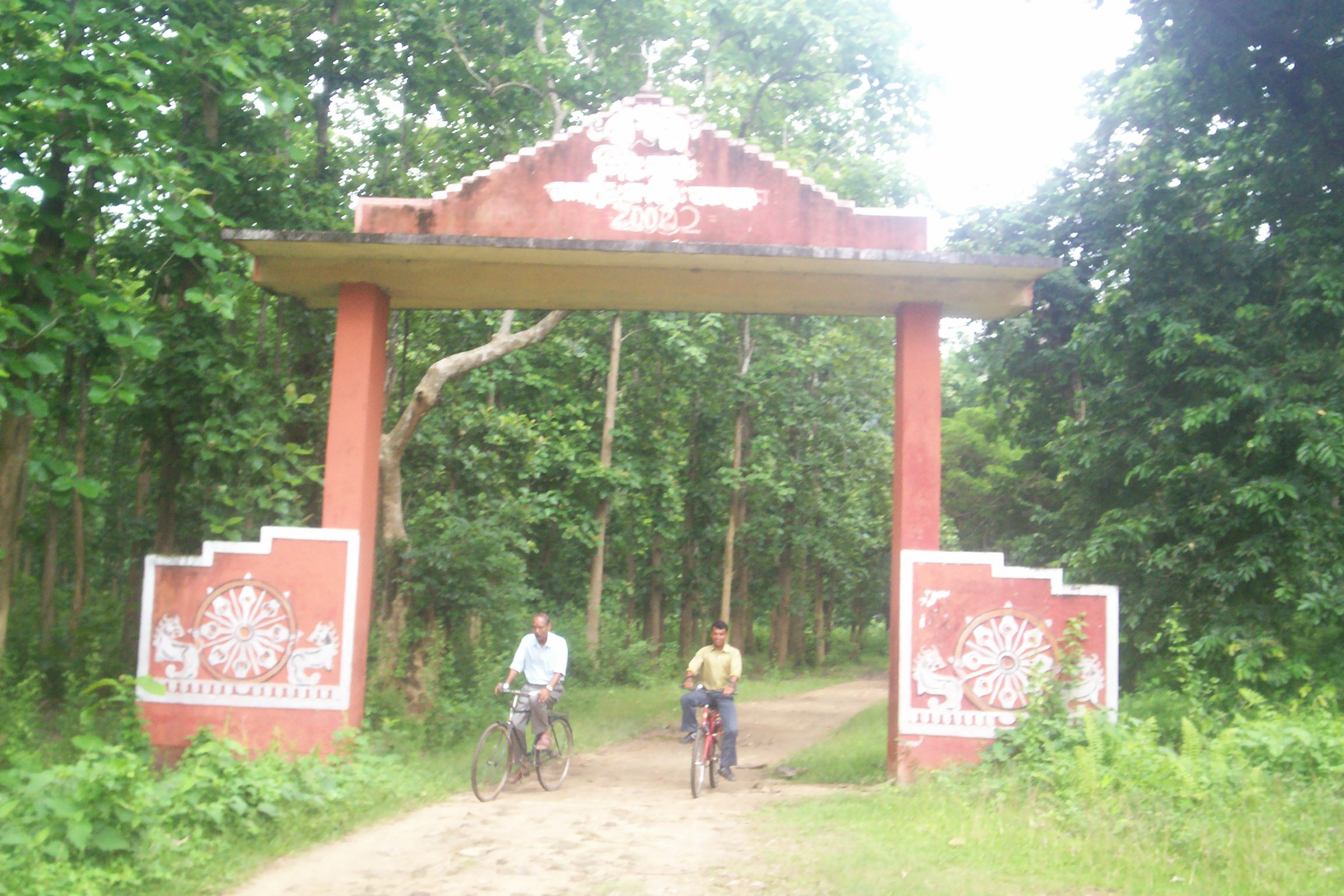 amsoi